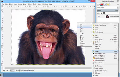 How To Erase To Transparency In GIMP HowTech